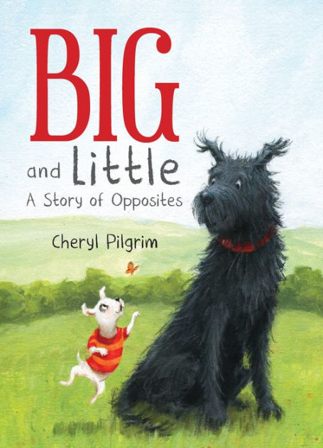 Big and Little: A Story of Opposites by Cheryl Pilgrim, Hardcover ...