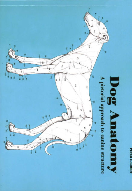 Dog Anatomy: A Pictorial Approach to Canine Structure by Peter Goody ...