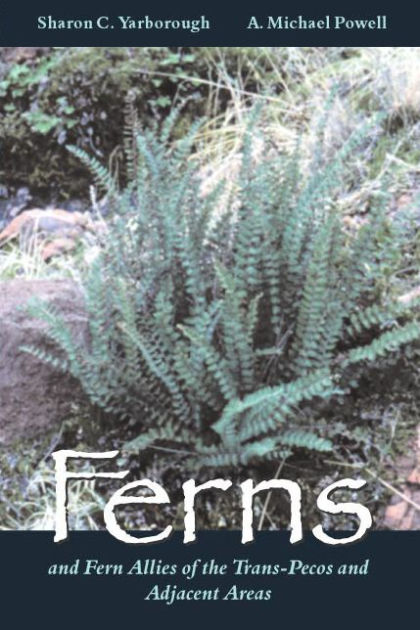 Ferns and Fern Allies of the Trans-Pecos and Adjacent Areas by Sharon C ...