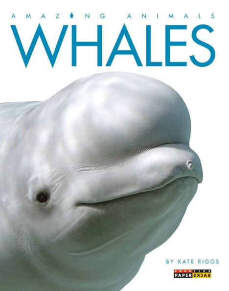 Whales (Amazing Animals Series) by Kate Riggs, Paperback | Barnes & Noble®