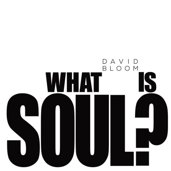What Is Soul? by David Bloom, Paperback | Barnes & Noble®