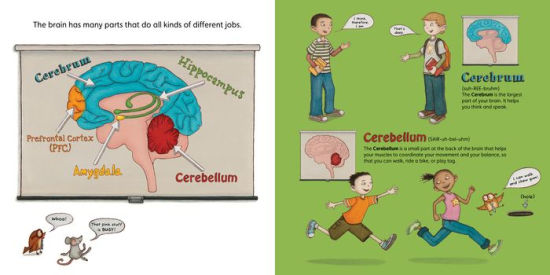 Your Fantastic Elastic Brain: Stretch It, Shape It by JoAnn Deak, Sarah ...