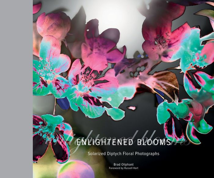 Enlightened Blooms: Solarized Diptych Floral Photographs by Brad ...