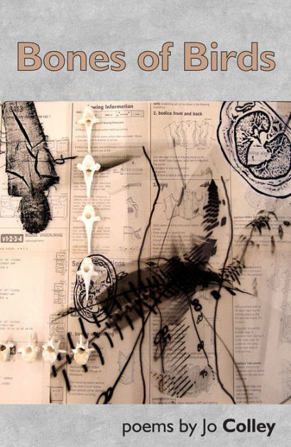 Bones of Birds by Jo Colley, Paperback | Barnes & Noble®