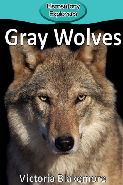 Gray Wolves by Victoria Blakemore, Paperback | Barnes & Noble®