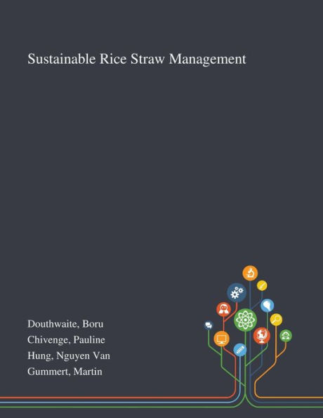 Sustainable Rice Straw Management by Boru Douthwaite, Pauline Chivenge ...
