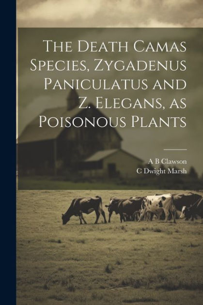 The Death Camas Species, Zygadenus Paniculatus and Z. Elegans, as ...