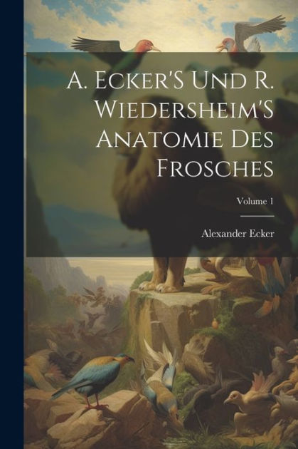 A. Ecker'S Und R. Wiedersheim'S Anatomie Des Frosches; Volume 1 by ...