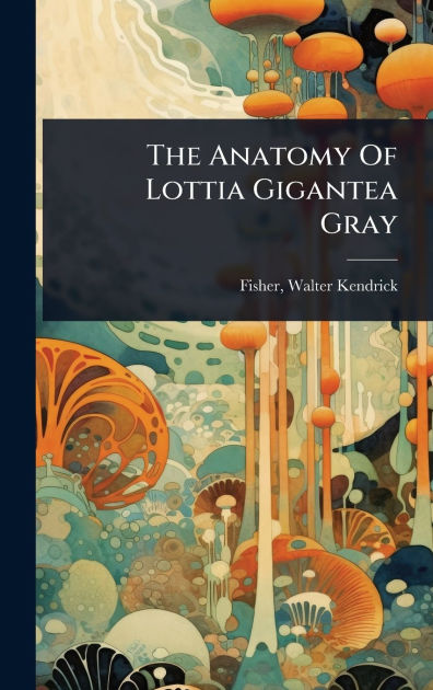 The Anatomy Of Lottia Gigantea Gray by Walter Kendrick 1878- Fisher ...