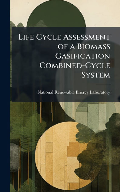 Life Cycle Assessment of a Biomass Gasification Combined-Cycle System ...