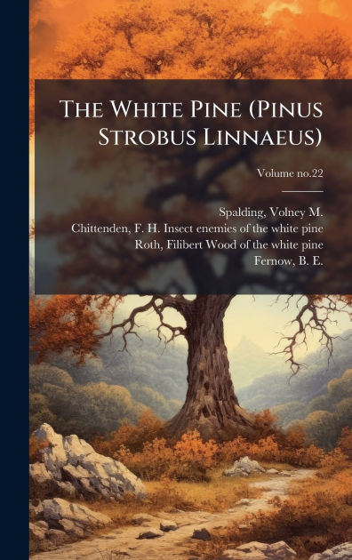 The White Pine (Pinus Strobus Linnaeus) by Volney M (Volney Morgan ...