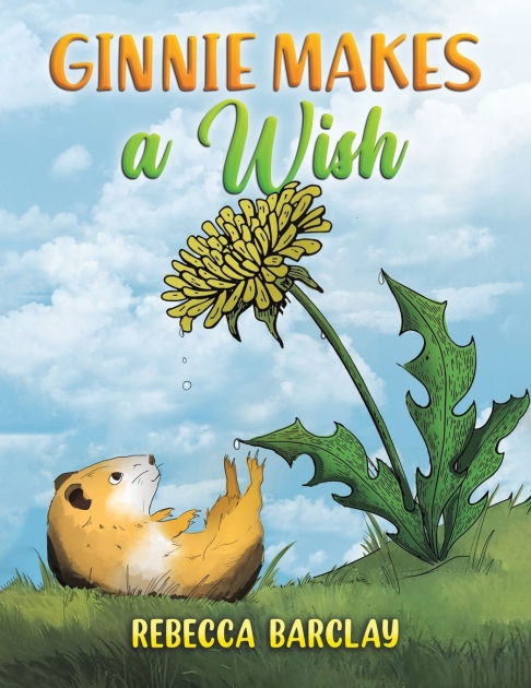 Ginnie Makes a Wish by Rebecca Barclay, Paperback | Barnes & Noble®
