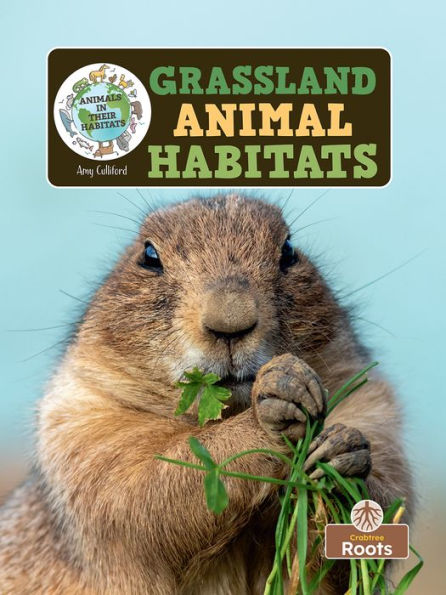 Grassland Animal Habitats by Amy Culliford, Paperback | Barnes & Noble®