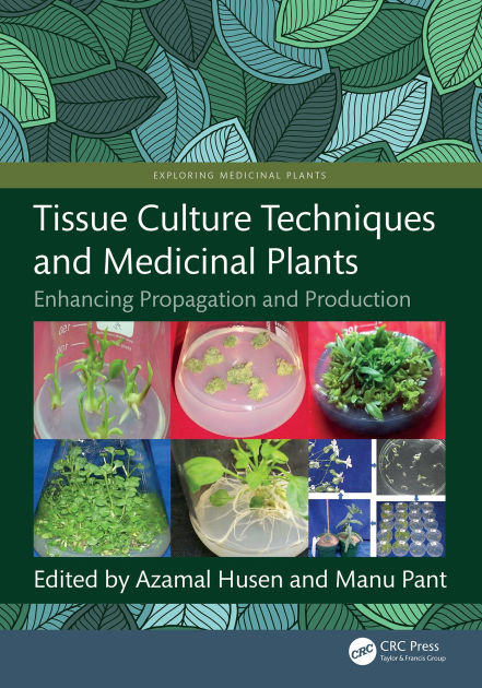 Tissue Culture Techniques and Medicinal Plants: Enhancing Propagation ...