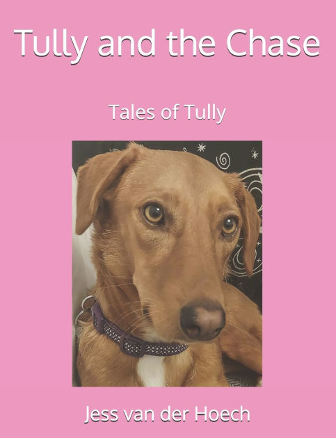 Tully and the Chase by Jess Van Der Hoech, Paperback | Barnes & Noble®