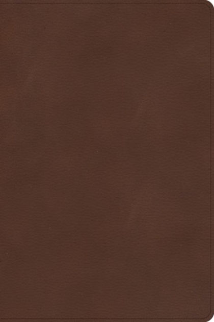 CSB Rainbow Study Bible, Brown LeatherTouch by CSB Bibles by Holman ...