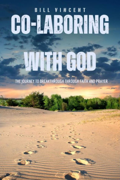 Co-Laboring with God: The Journey to Breakthrough through Faith and ...