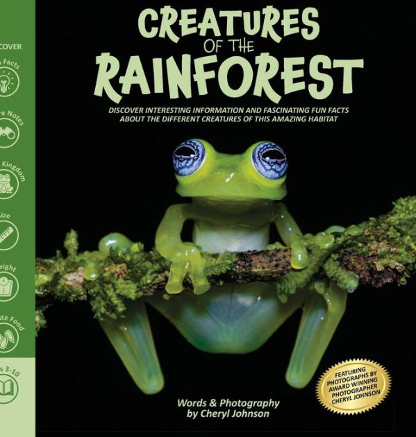 Amazing Creatures of the Rainforest: Rainforest picture book for kids ...