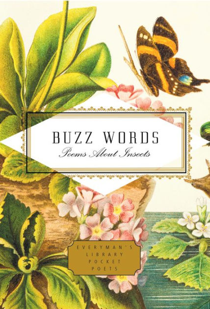 Buzz Words: Poems About Insects by Kimiko Hahn, Hardcover | Barnes & Noble®