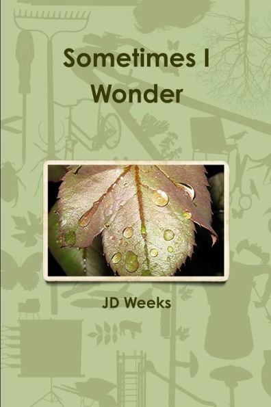Sometimes I Wonder by JD Weeks, Paperback | Barnes & Noble®