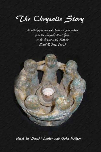 The Chrysalis Story by David Taylor, John Wilson, Paperback | Barnes ...