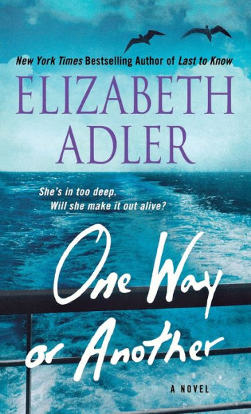 One Way or Another: A Novel by Elizabeth Adler, Paperback | Barnes & Noble®