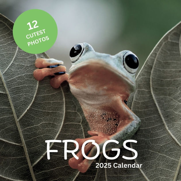 2025 Frogs Wall Calendar: 12 Cutest Frog Photos by Sticky Lolly ...