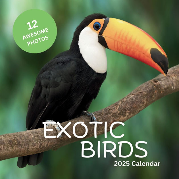 2025 Exotic Birds Wall Calendar: 12 Awesome Bird Photos by Sticky Lolly ...