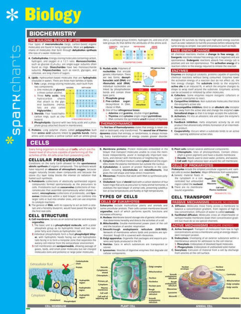 Biology SparkCharts by SparkNotes, Other Format | Barnes & Noble®