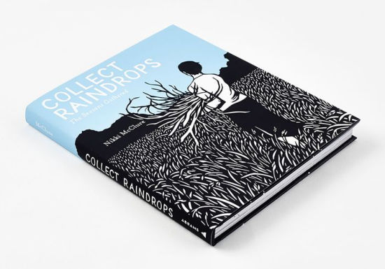Collect Raindrops (Reissue): The Seasons Gathered by Nikki McClure ...