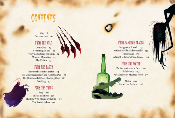 Creepy Campfire Stories: Frights to Tell at Night by Anastasia Garcia, Teo Skaffa, Hardcover ...