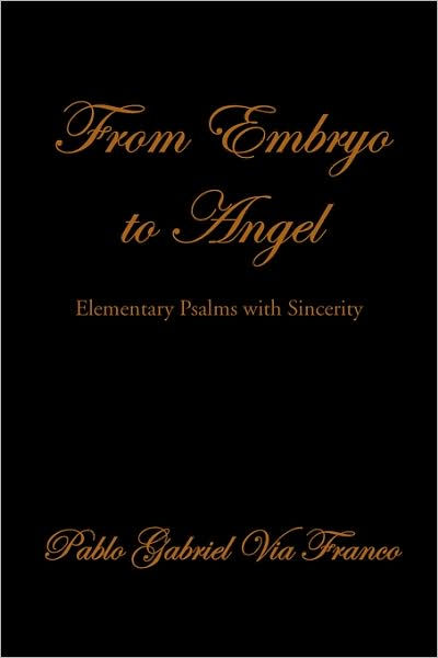 From Embryo to Angel by Pablo Gabriel Via Franco, Paperback | Barnes ...