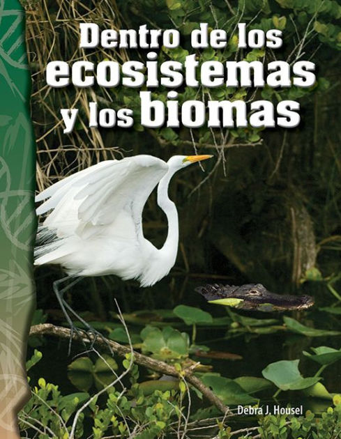 Dentro de los ecosistemas y los biomas by Debra J. Housel, Paperback ...