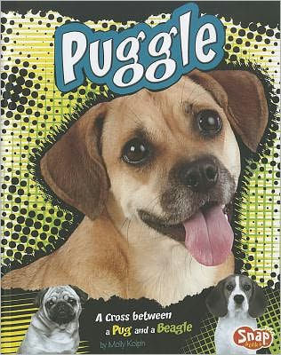 Puggle: A Cross Between a Pug and a Beagle by Molly Kolpin, Hardcover ...