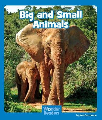 Big and Small Animals by Ann Corcorane, Paperback | Barnes & Noble®