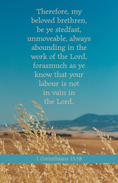 General Worship Bulletin: Be Ye Stedfast (Package of 100): 1 ...