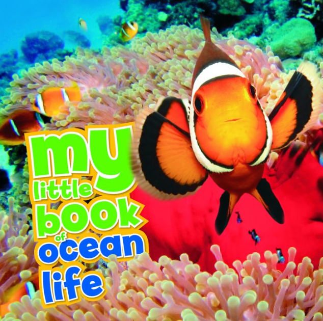 My Little Book of Ocean Life by QED Publishing, Hardcover | Barnes & Noble®