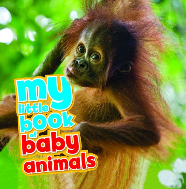 My Little Book of Baby Animals by QED Publishing, Hardcover | Barnes ...