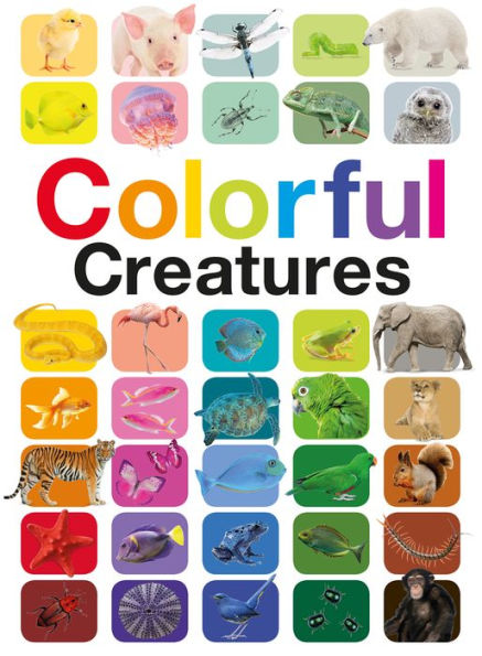 Colorful Creatures by Anita Ganeri, Hardcover | Barnes & Noble®