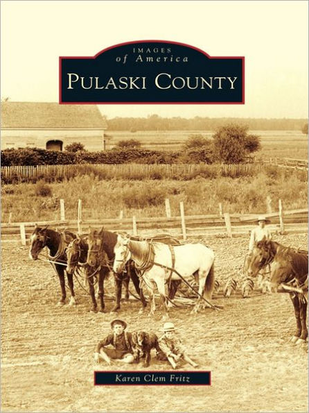 Pulaski County by Karen Clem Fritz | eBook | Barnes & Noble®