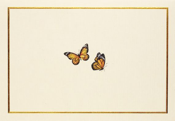 Monarch Butterflies Note Cards by Peter Pauper Press | Barnes & Noble®