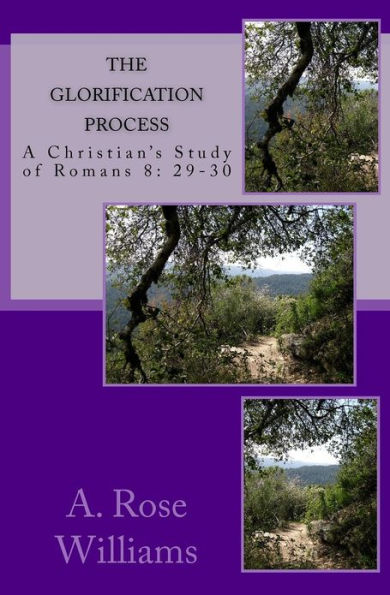 The Glorification Process: a Christian study of Romans 8: 29-30 by A ...