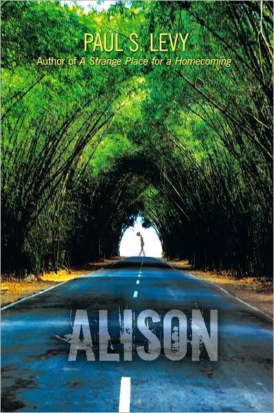 Alison by Paul S. Levy | eBook | Barnes & Noble®