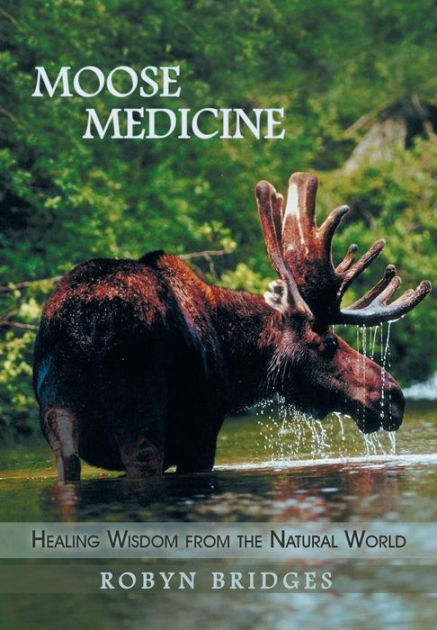 Moose Medicine: Healing Wisdom from the Natural World by Robyn Bridges ...