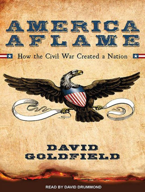 America Aflame: How the Civil War Created a Nation by David Goldfield ...