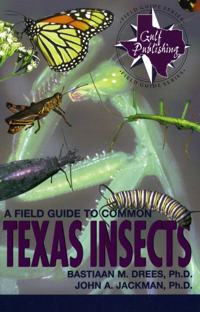 A Field Guide to Common Texas Insects by John Jackman, Bastiaan Drees ...