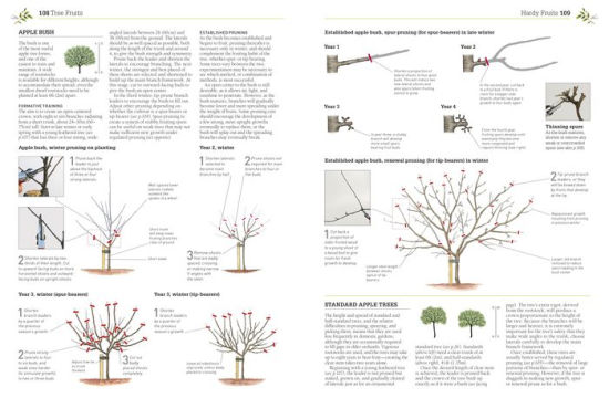 Pruning and Training, Revised New Edition: What, When, and How to Prune ...