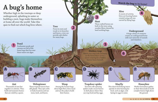 DKfindout! Bugs by Andrea Mills, Paperback | Barnes & Noble®