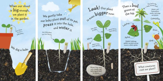 I Can Grow a Flower by DK, Board Book | Barnes & Noble®