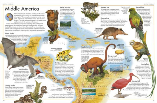 The Animal Atlas: A Pictorial Guide to the World's Wildlife by DK ...
